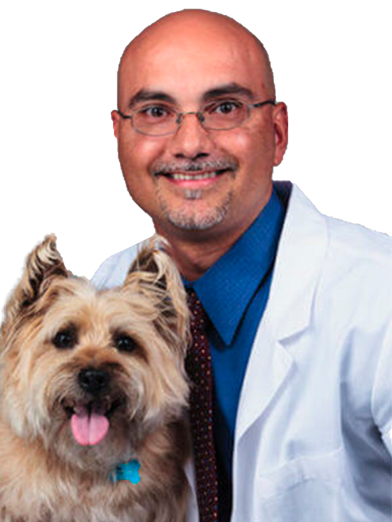 Diplomado en Imagenología - Capacitación Veterinaria